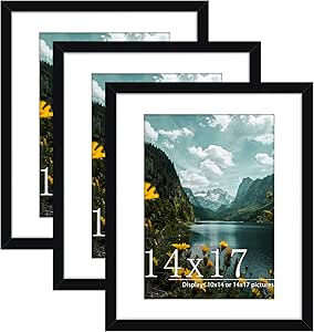 Amazon.com - Picrit 14x17 Picture Frame 3 Pack, Black Poster Frame ...