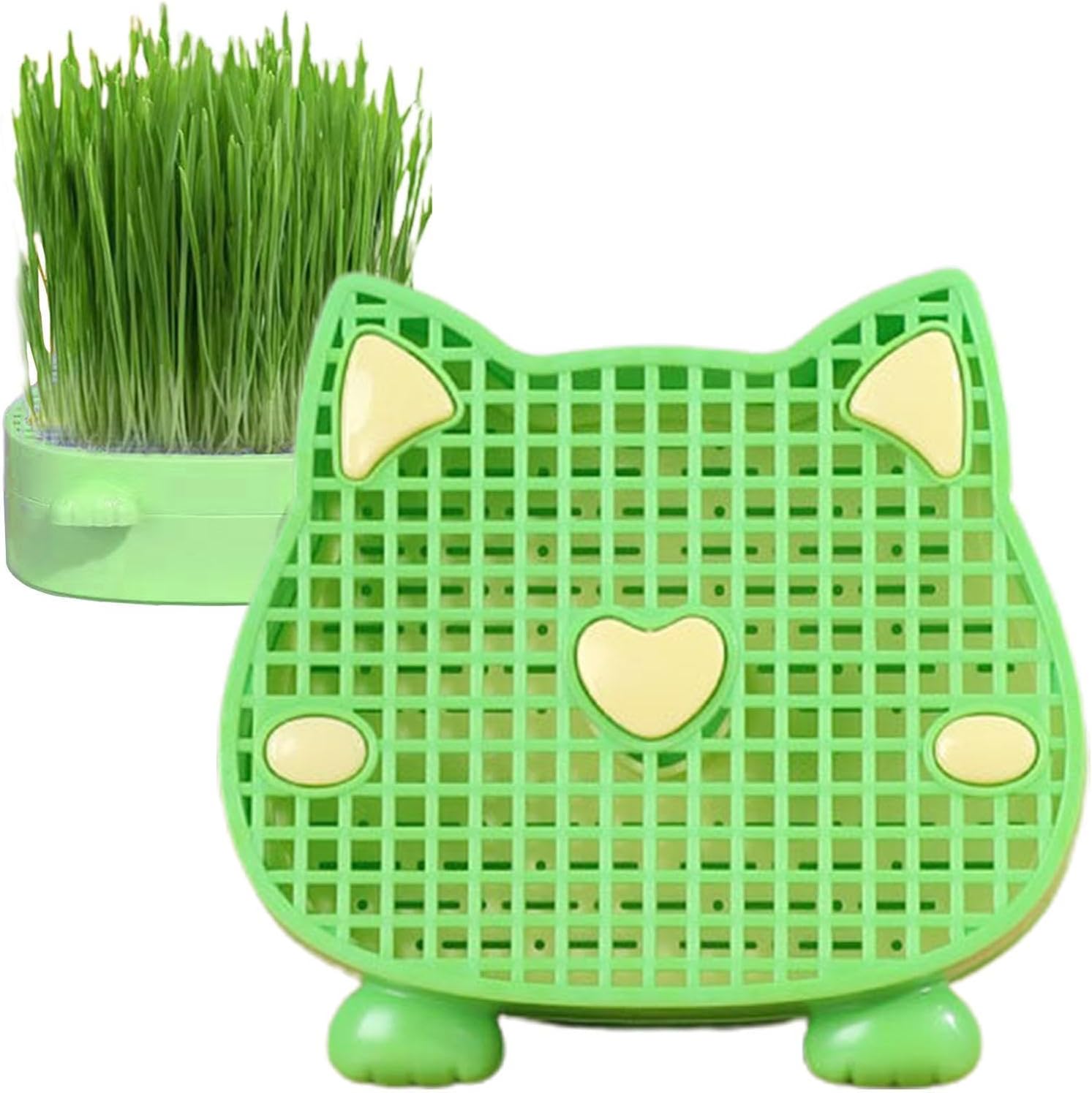 Amazon.com : Cat Grass Planter, Grass Planter Tray, Hydroponic Cat ...