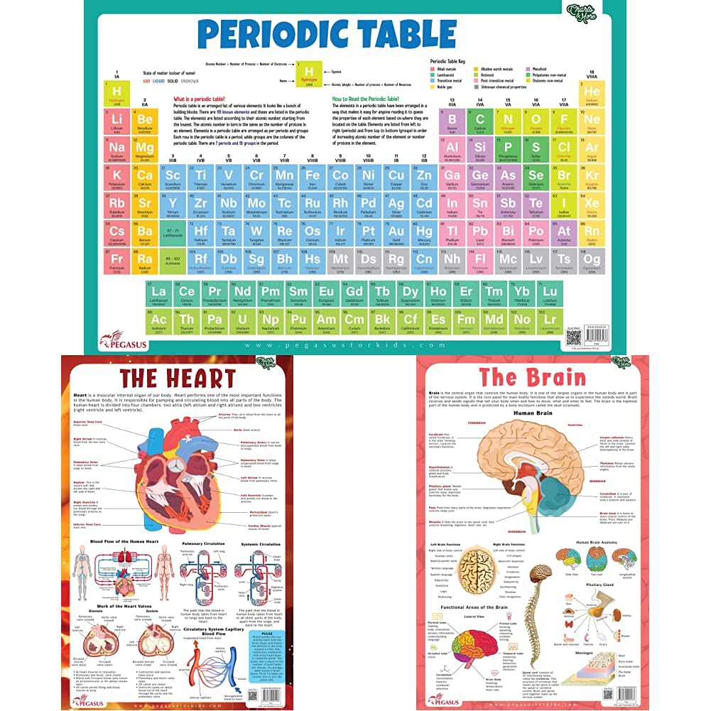 Buy Periodic Table - Thick Laminated Primary Chart+Heart - Thick ...