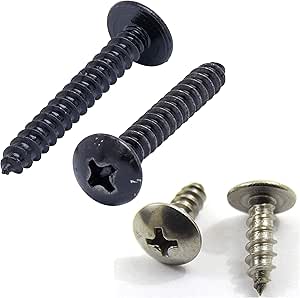 Amazon.com: #6 x 1/2" Stainless Truss Head Phillips Wood Screw (100pc) 18-8 (304) & #6 X 3/4 ...