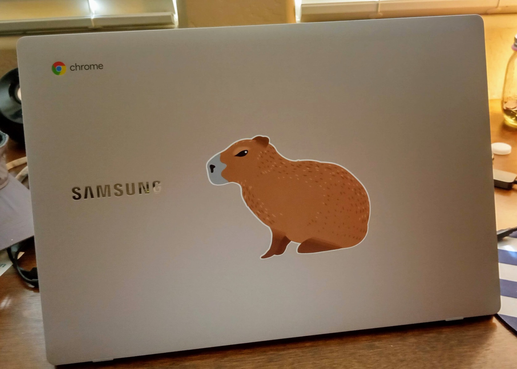 Amazon.com - Capybara Sticker Decal Vinyl Bumper Sticker Decal ...