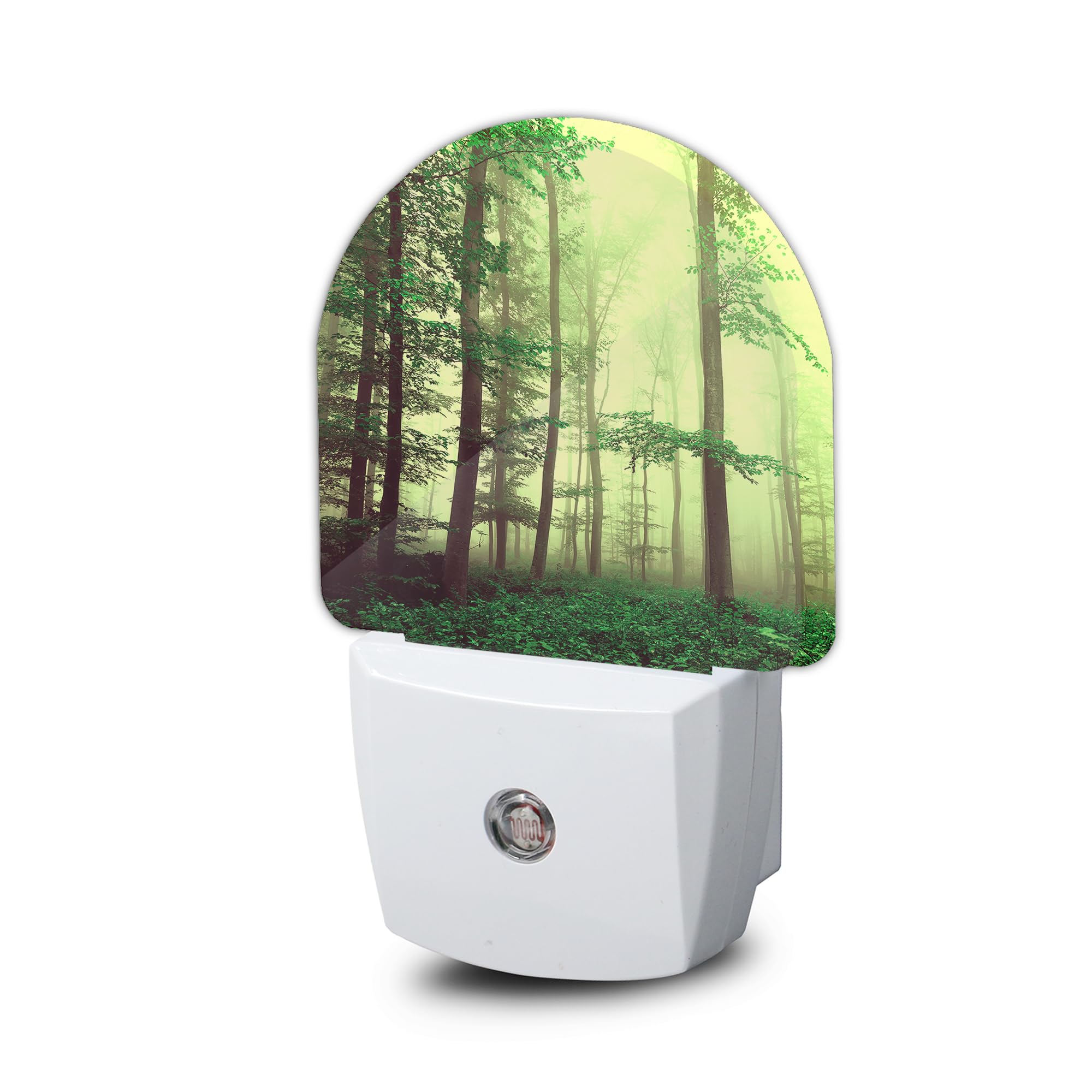 AOWULA Misty Forest Night Light,Fantasy Green Tree Night Lights Plug ...
