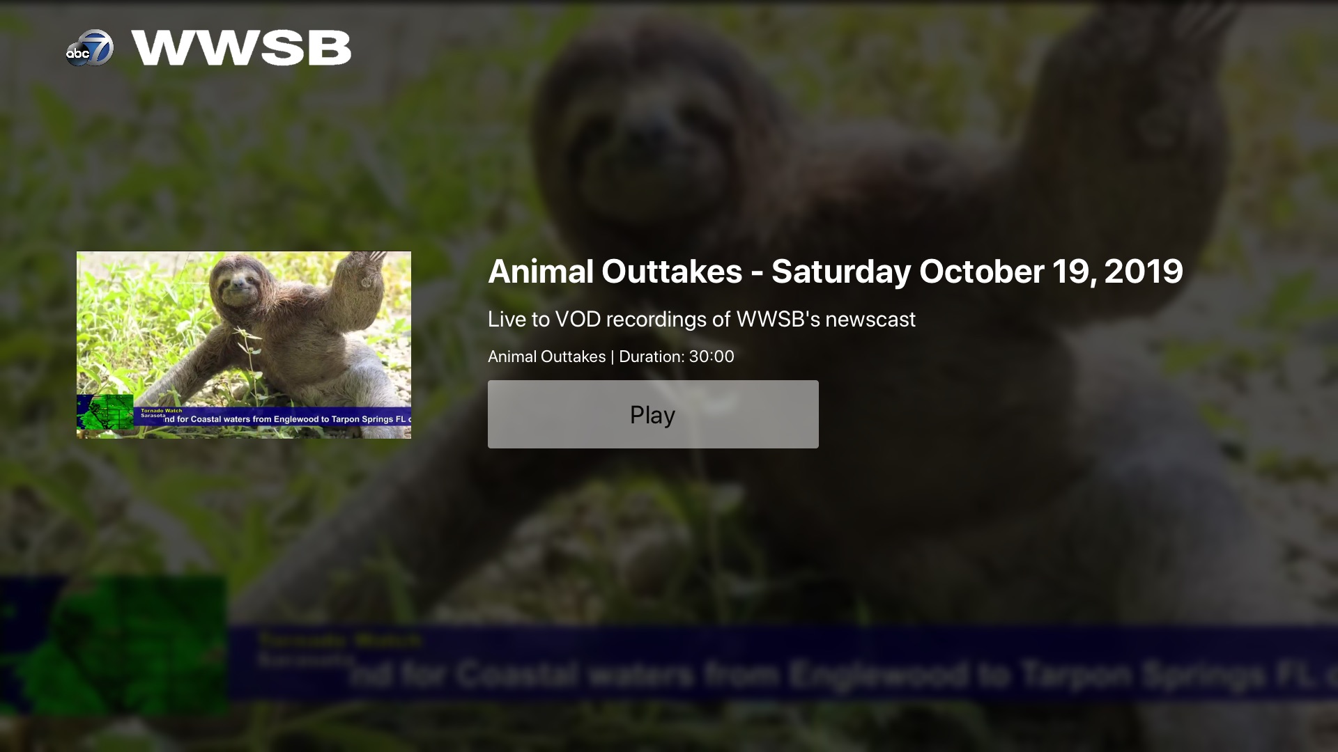 WWSB TV:Amazon.com:Appstore for Android