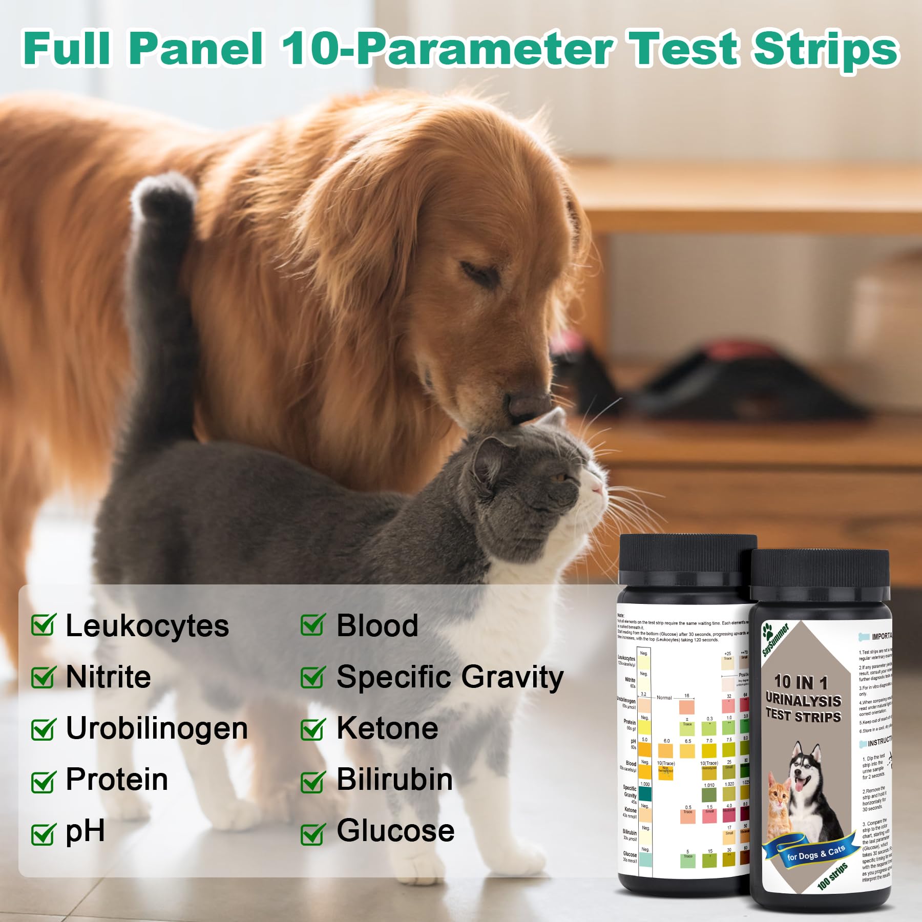 Blood Type Test Kit 10 Parameter Urinalysis Test Strips. UTI Urinary ...