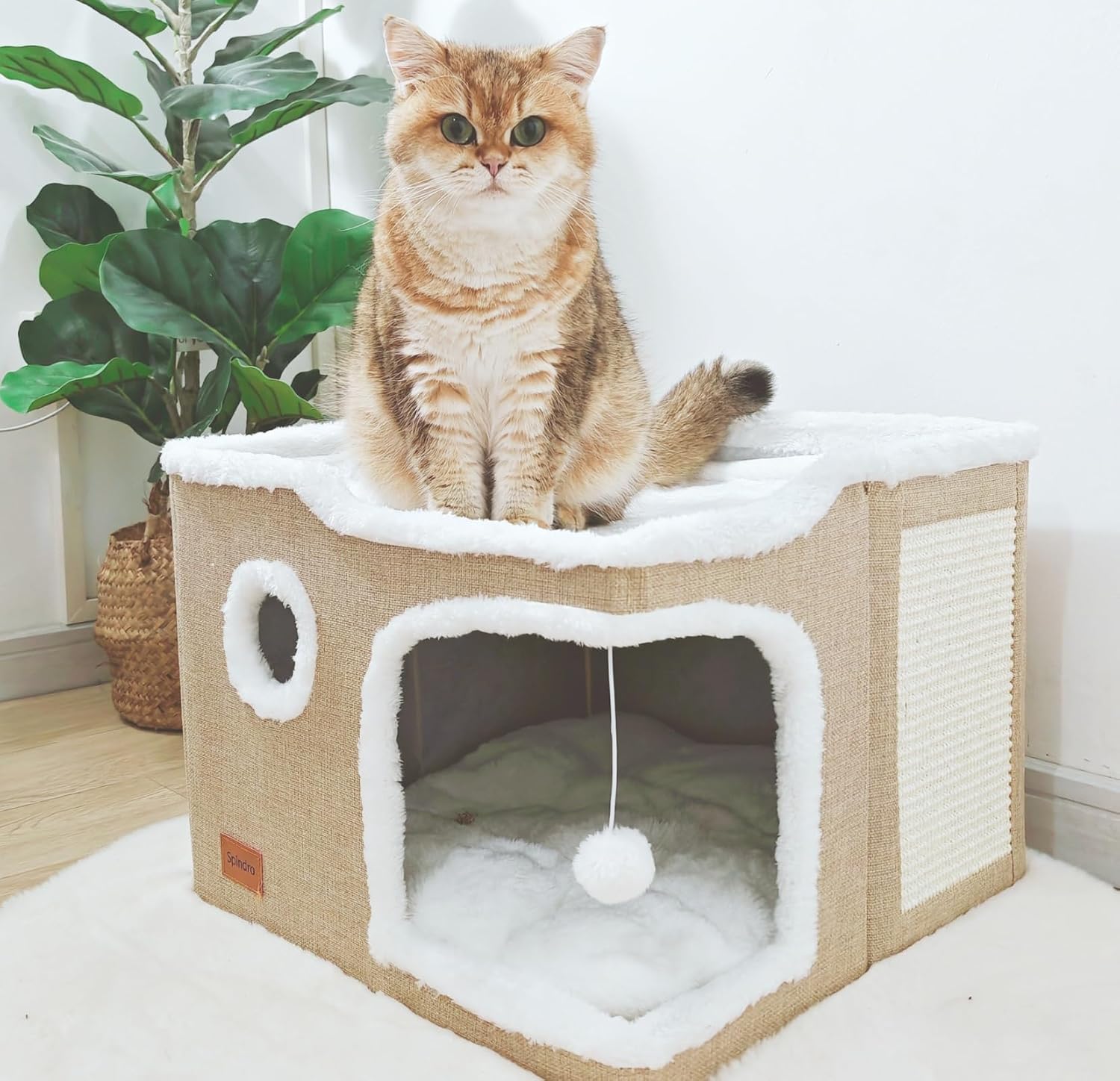 Spindro Large Cat Bed for Indoor Cats, Foldable Adult Cat Cave Anti ...