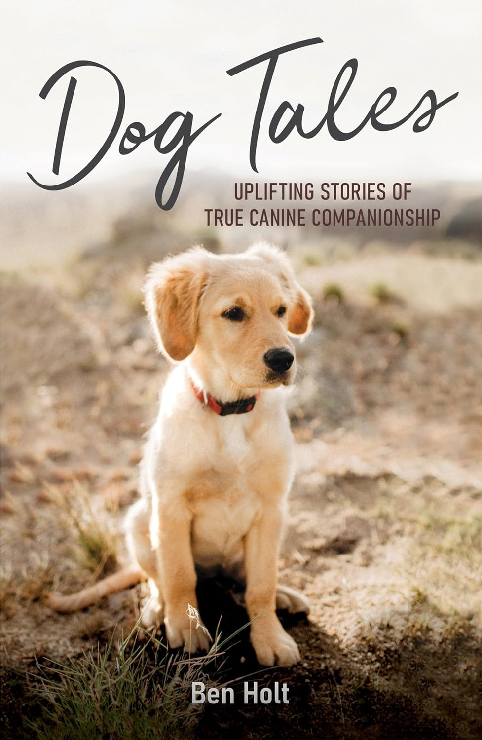 Dog Tales: Uplifting Stories of True Canine Companionship: Amazon.co.uk ...