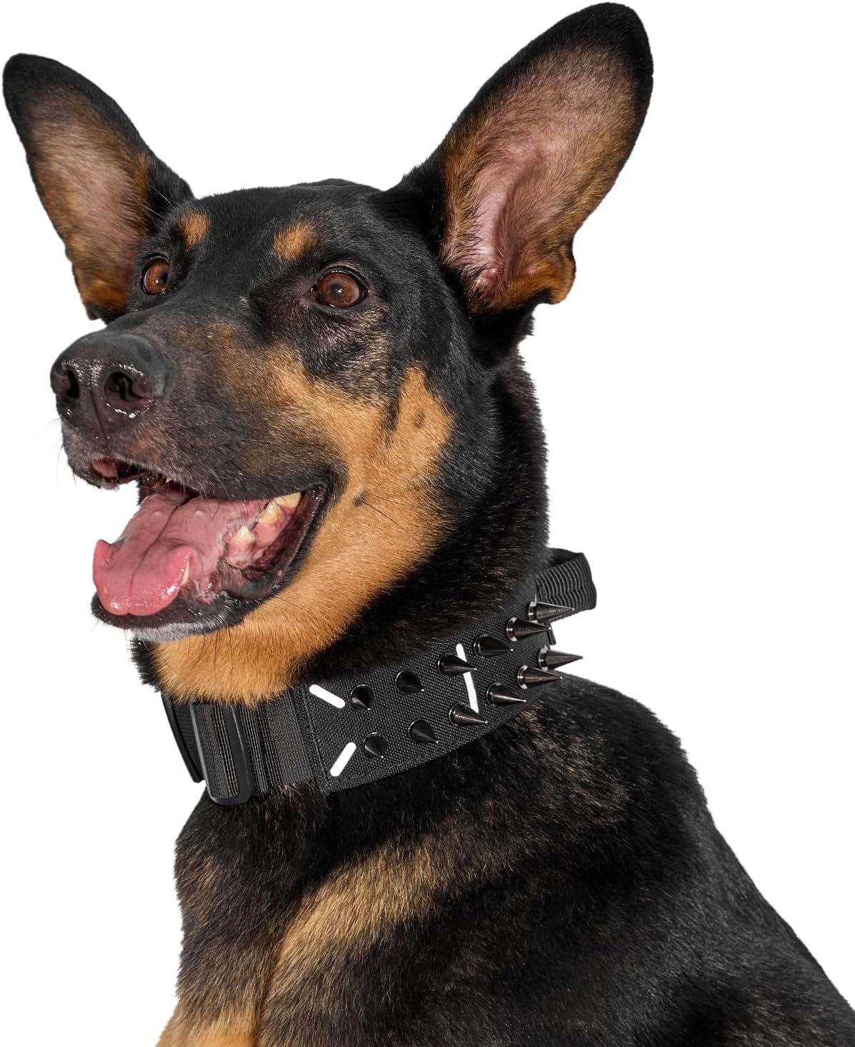 Amazon.com : OneTigris Tactical Dog Collar, Adjustable Military ...