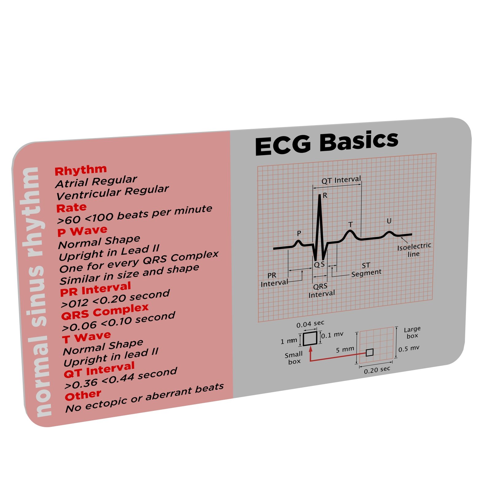 ECG Basics (Paramedic, Nurse, Student) Pocket Reference Card : Amazon ...