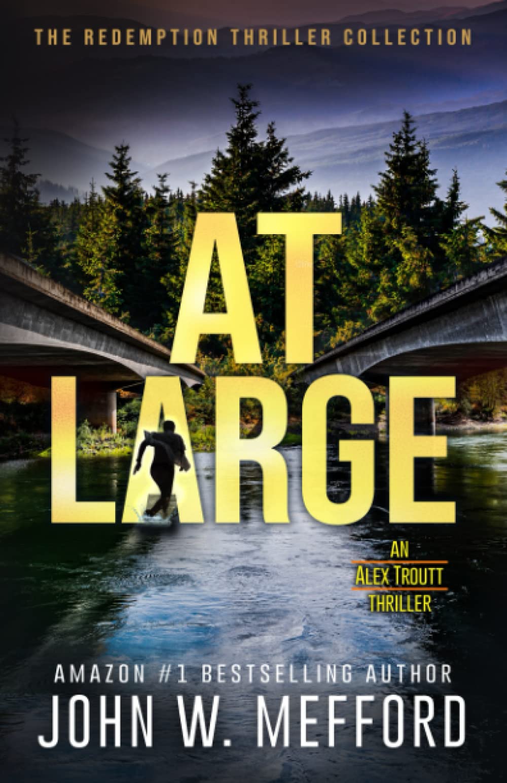 Amazon.com: AT LARGE (An Alex Troutt Thriller): 9781709133046: Mefford ...