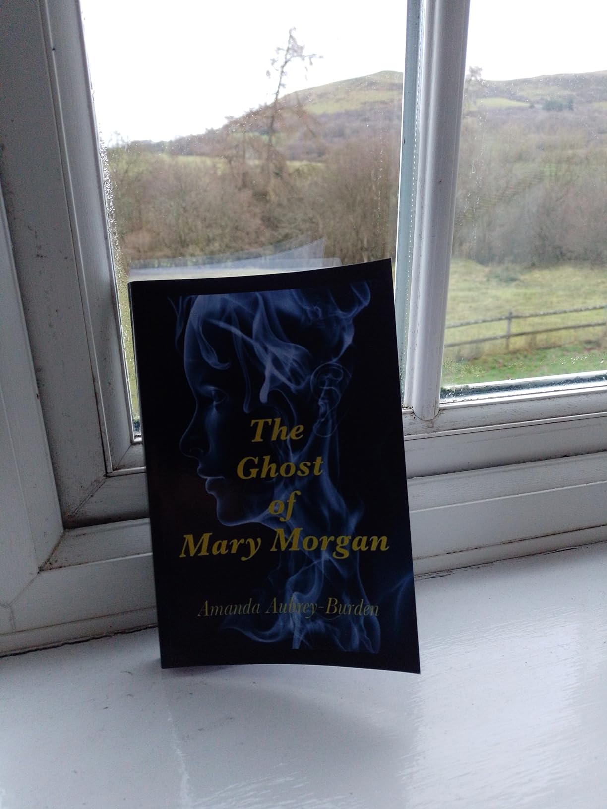 The Ghost of Mary Morgan: Amazon.co.uk: Aubrey-Burden, Amanda ...