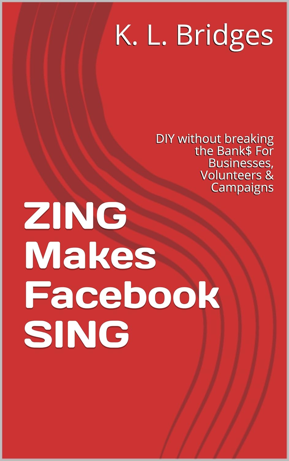 Amazon.com: ZING Makes Facebook SING: DIY without breaking the Bank ...