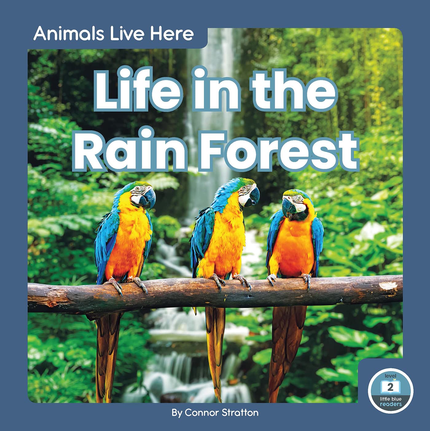 Life in the Rain Forest (Animals Live Here (Set of 6)) - Kindle edition ...