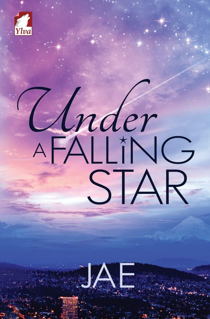 Amazon.com: Under a Falling Star (Unexpected Love): 9783955332389: Jae ...