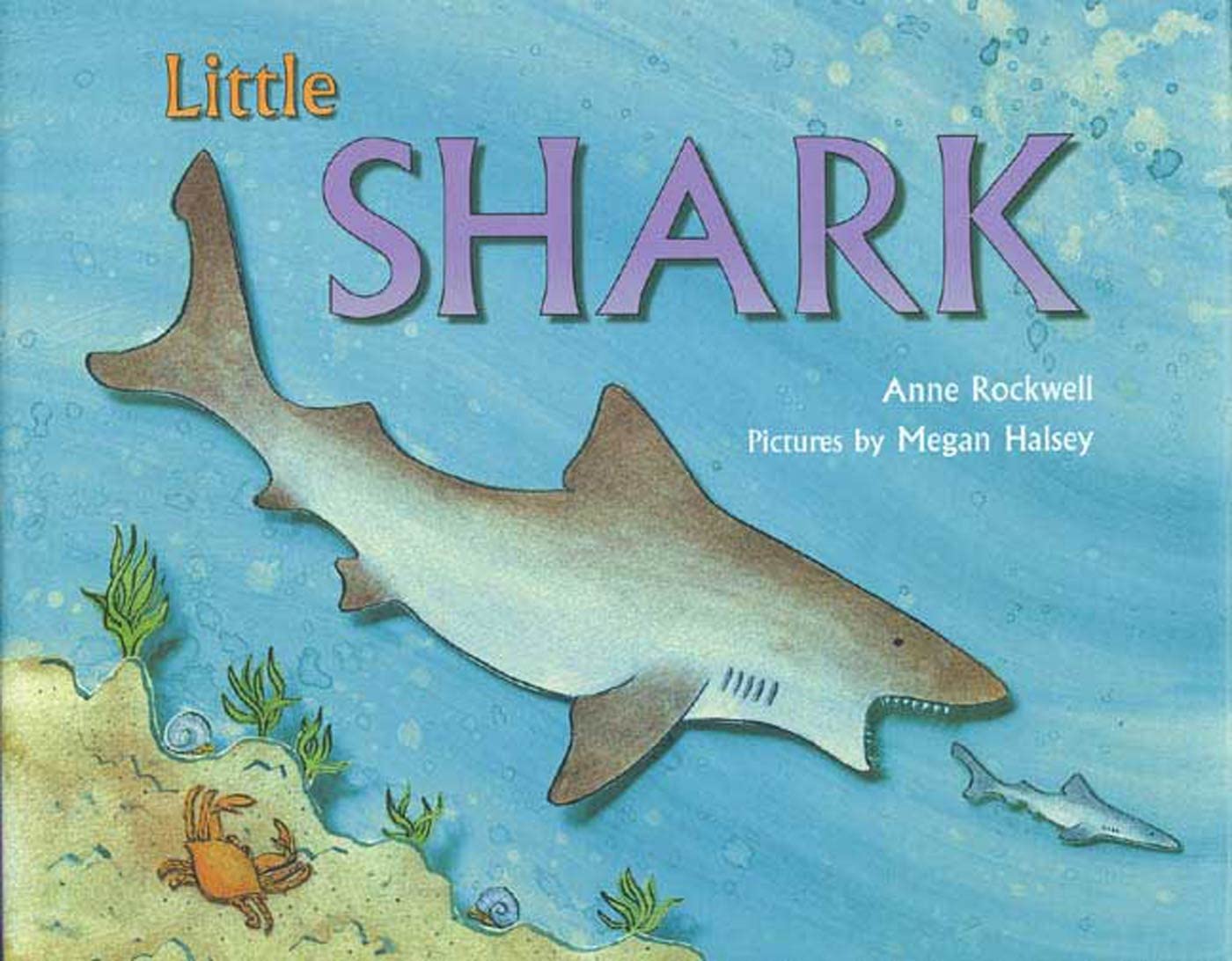 Little Shark: Rockwell, Anne, Halsey, Megan: 9780802789556: Amazon.com ...