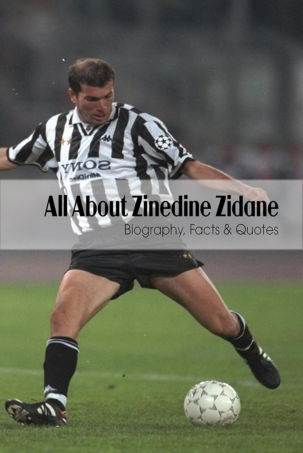 All About Zinedine Zidane: Biography, Facts & Quotes: Let’s Take An ...