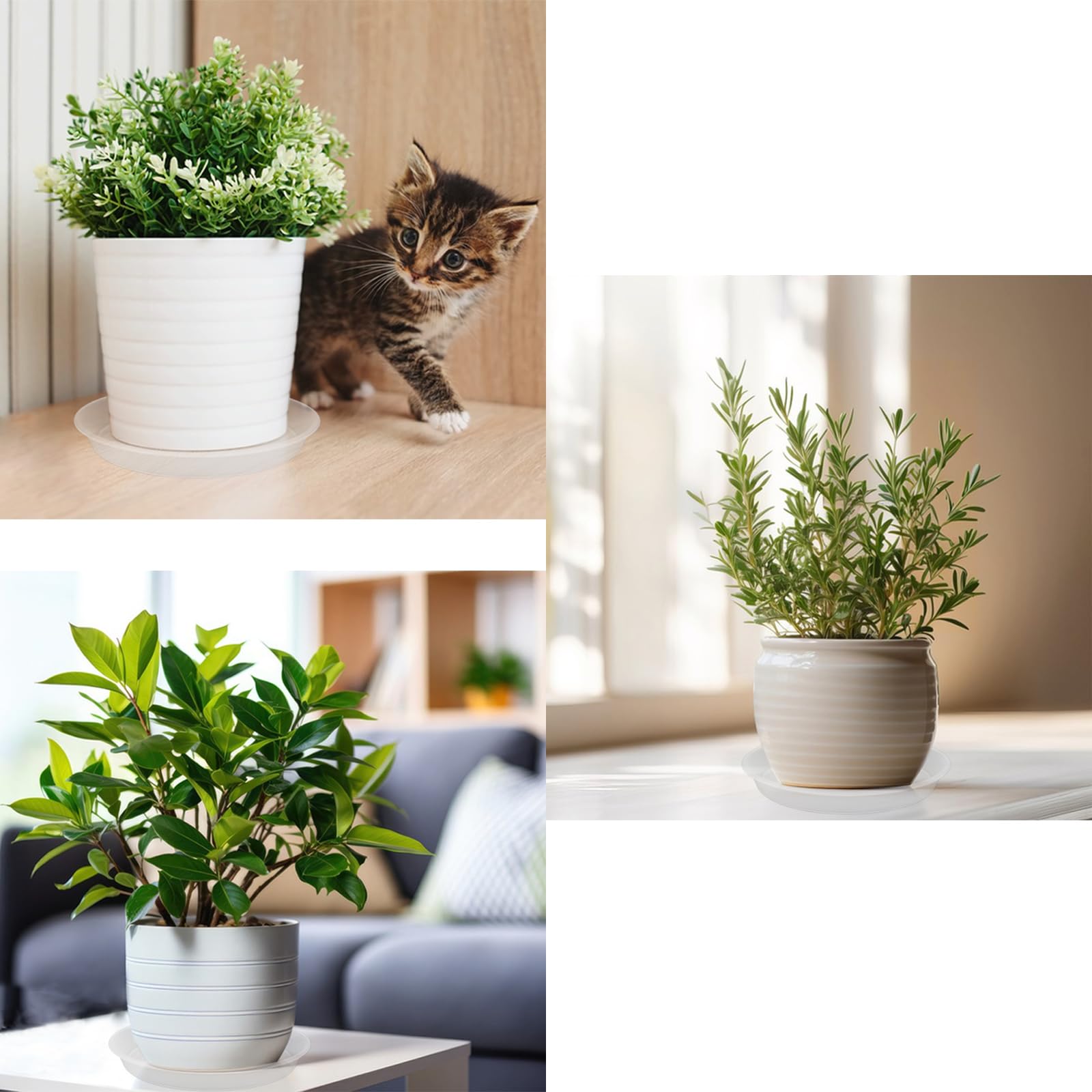 Snapklik.com : TITE Plant Saucer Heavy Large Planter Durable Thicker ...