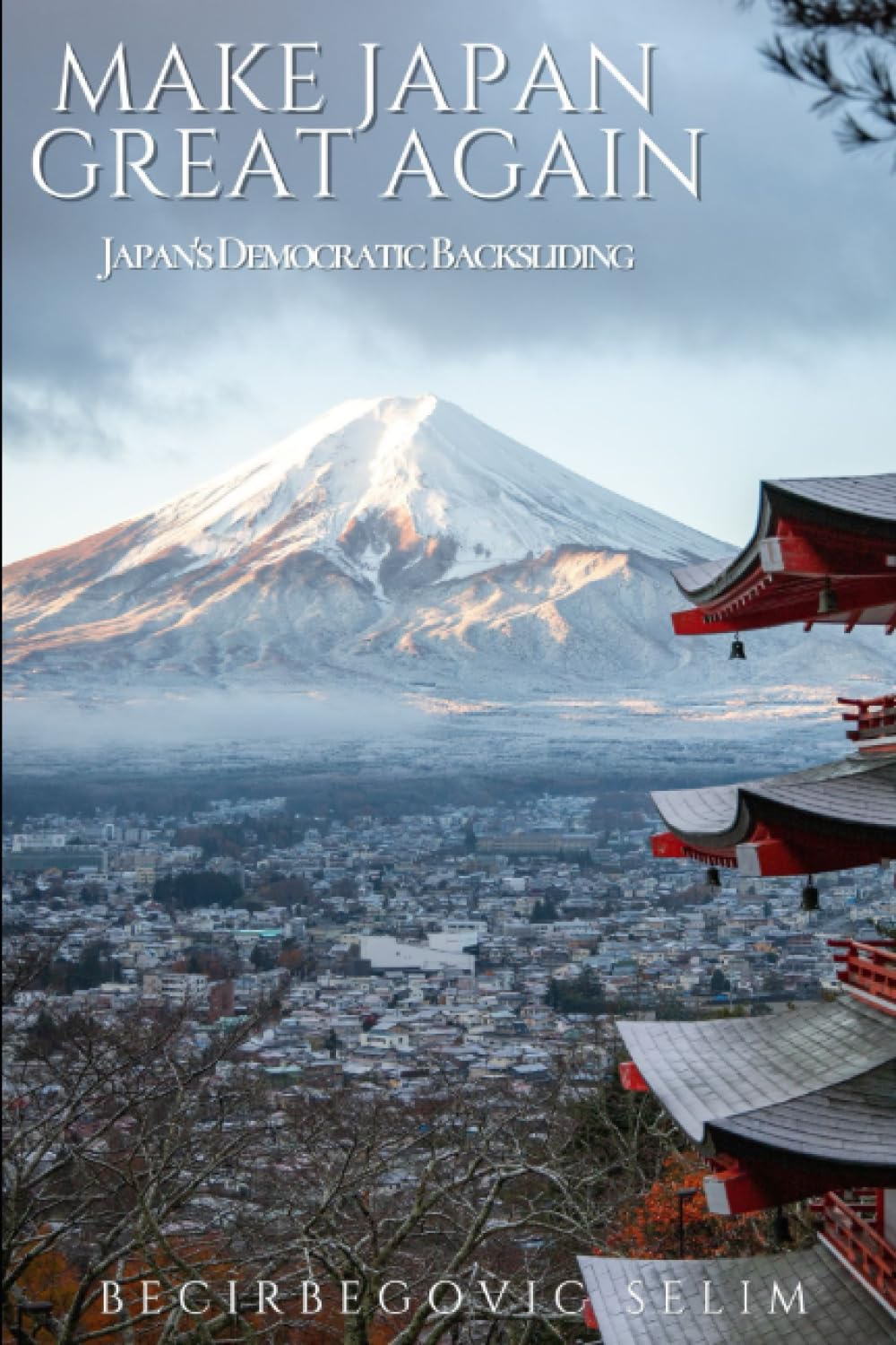 Amazon | Make Japan Great Again: Japan's Democratic Backsliding ...