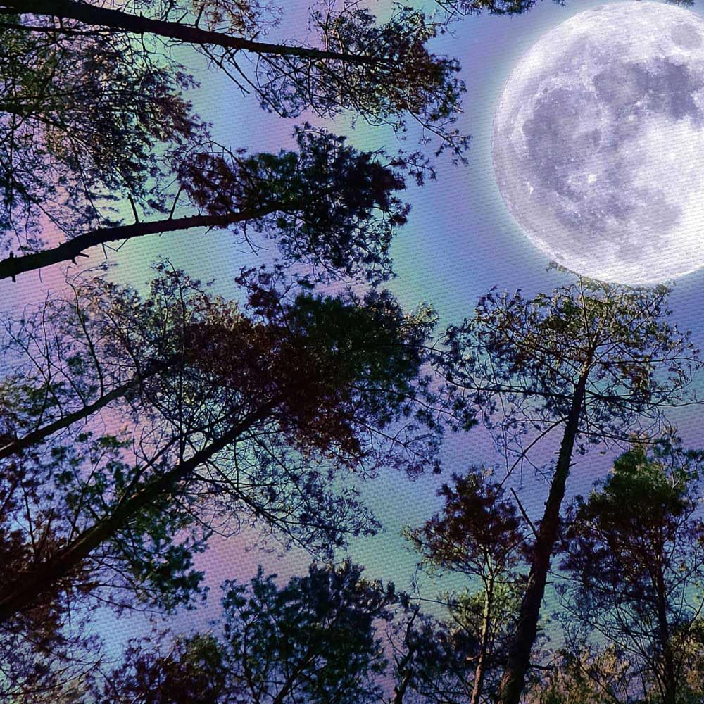 Pictiúir Trippy Moon Trippydraws – TrippyDraws