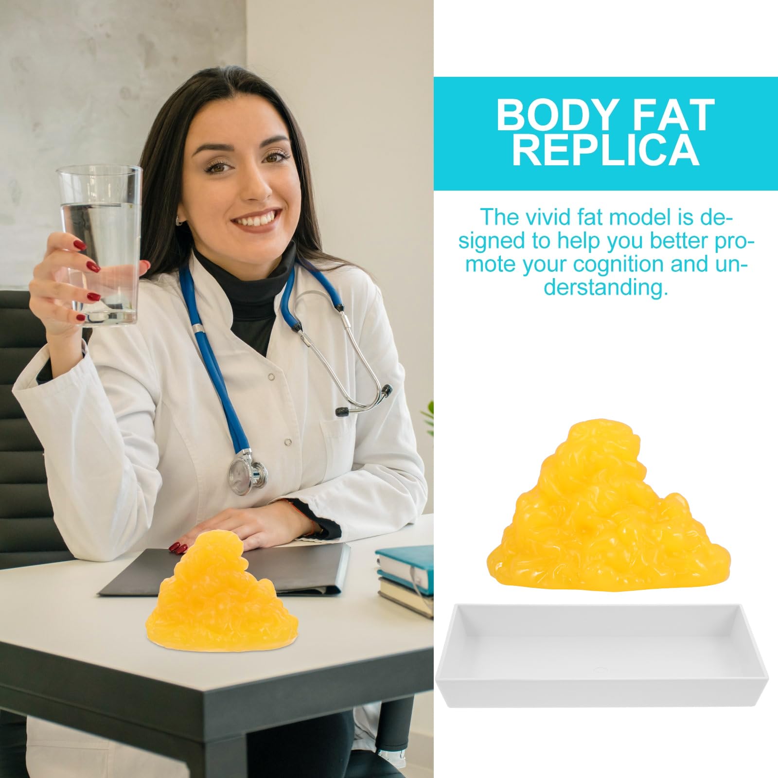 5 Lbs Of Fat The Amazing Human Body 1 Lb Human Fat Replica Model ...