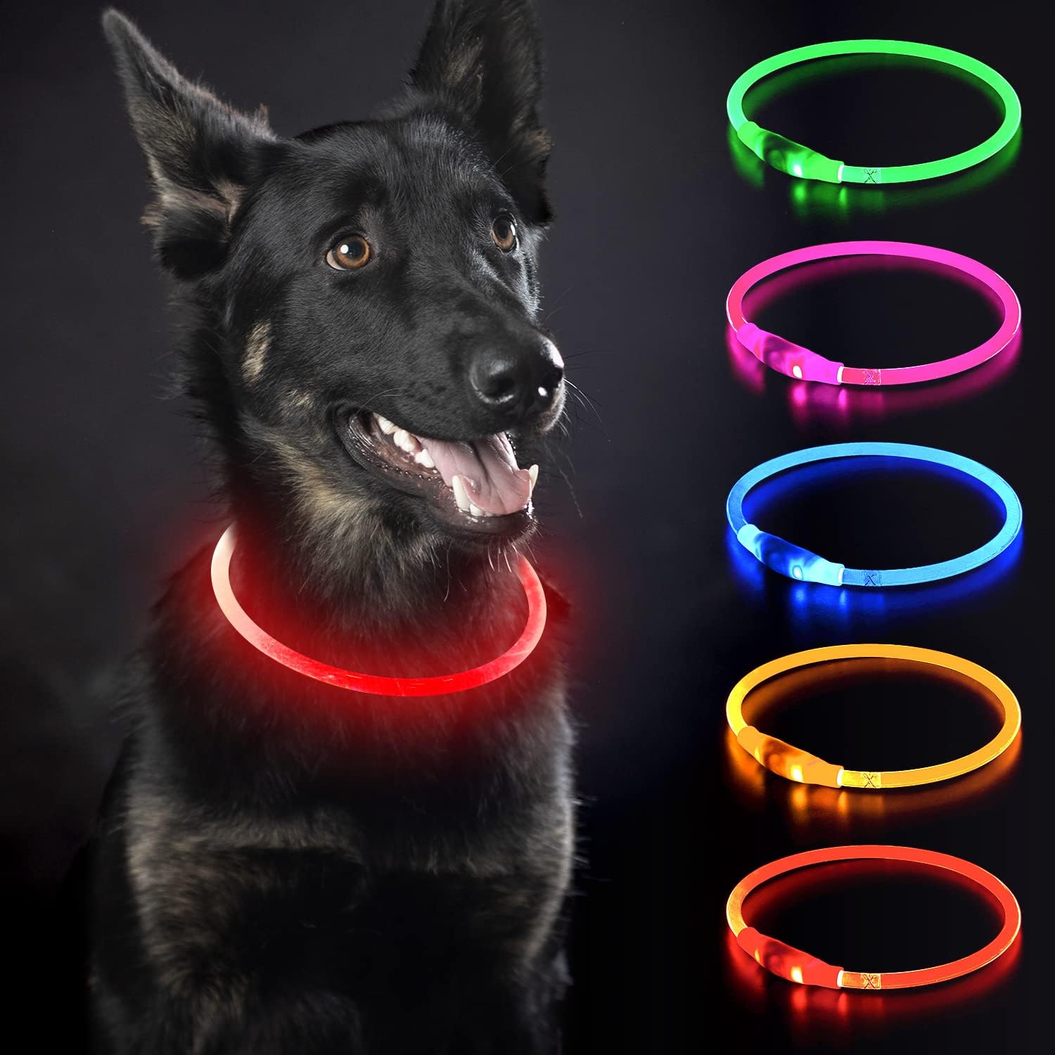Vizbrite Light Up LED Dog Collar - USB Rechargeable, High Visibility ...