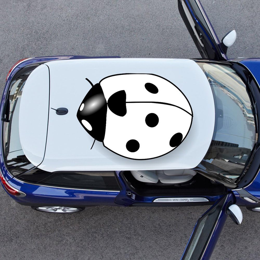 Amazon.com: Ladybug Insect Bug Wildlife Full Color Car Decal, Ladybug ...