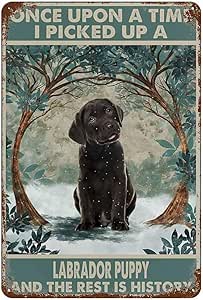 Amazon.com: Retro Tin Sign Once Upon A Time I Picked Up A Labrador ...