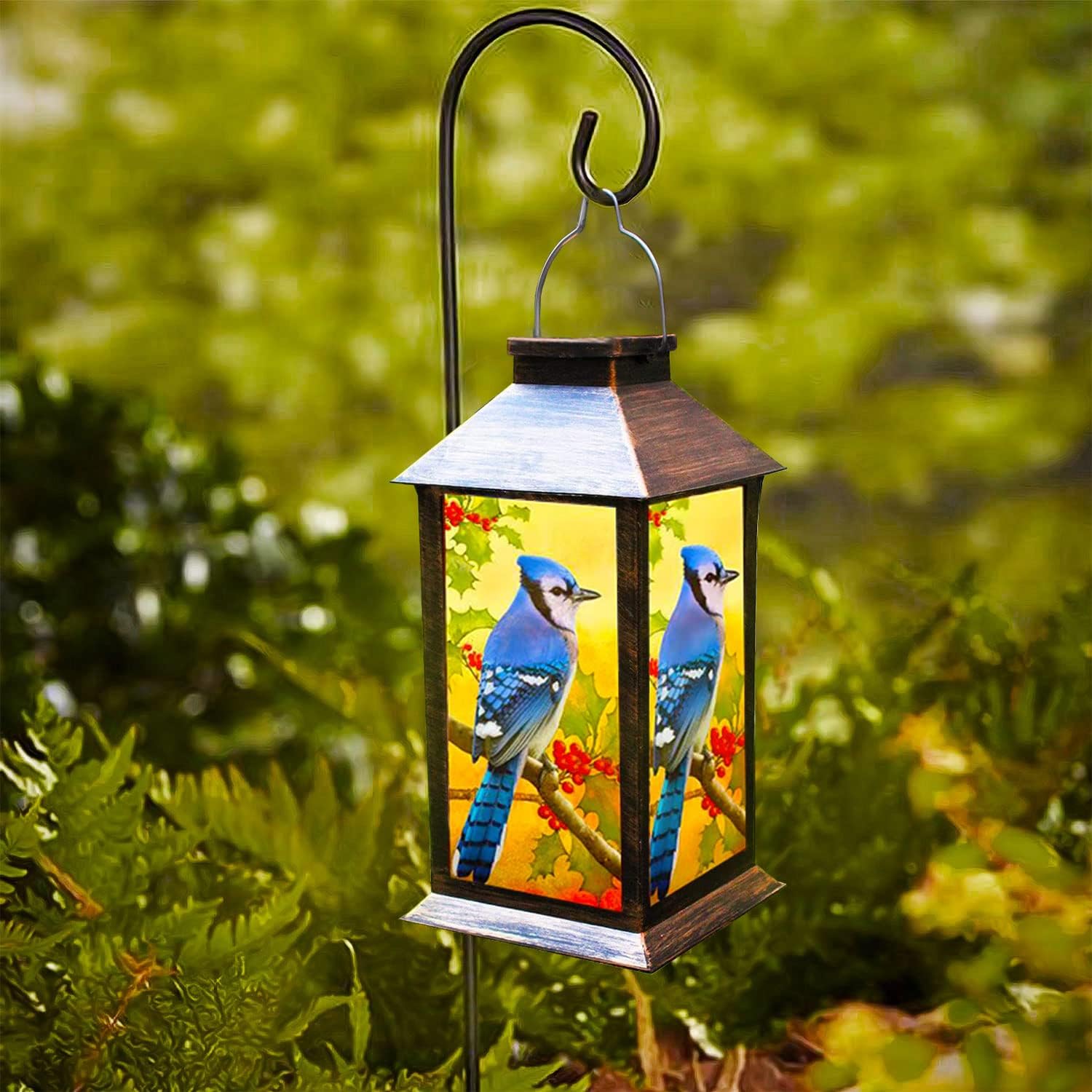 Solar Lanterns Outdoor Hanging Blue Jay Solar Lights Decorative for ...