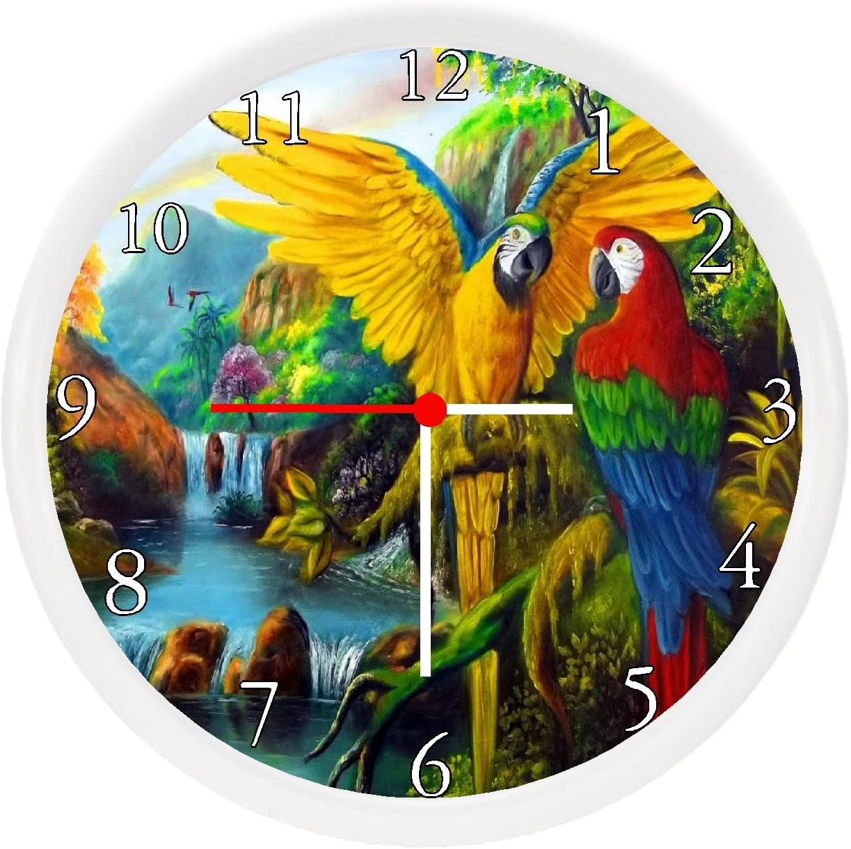 Amazon.com: Parrot Macaw Wall Clock : Home & Kitchen