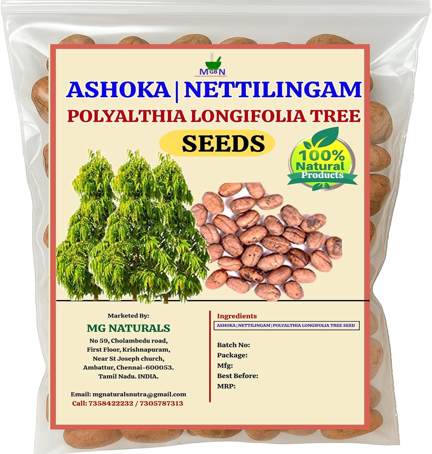 MGBN Ashoka Tree Seeds (50 GM (50 SEEDS) (Polyalthia Longifolia) Fast ...