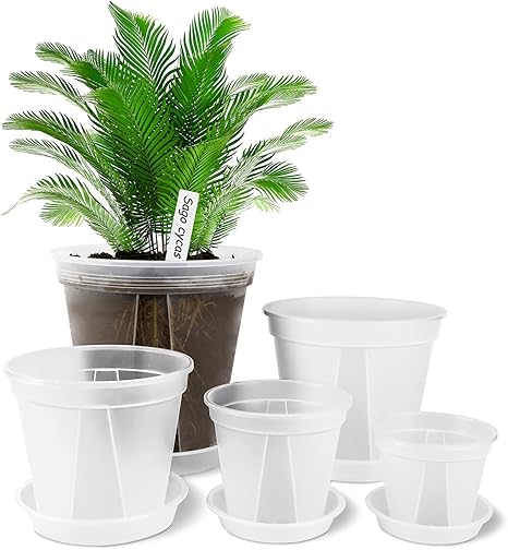 Amazon.com: GREENPARA Transparent Plastic Garden Pots Planter with ...