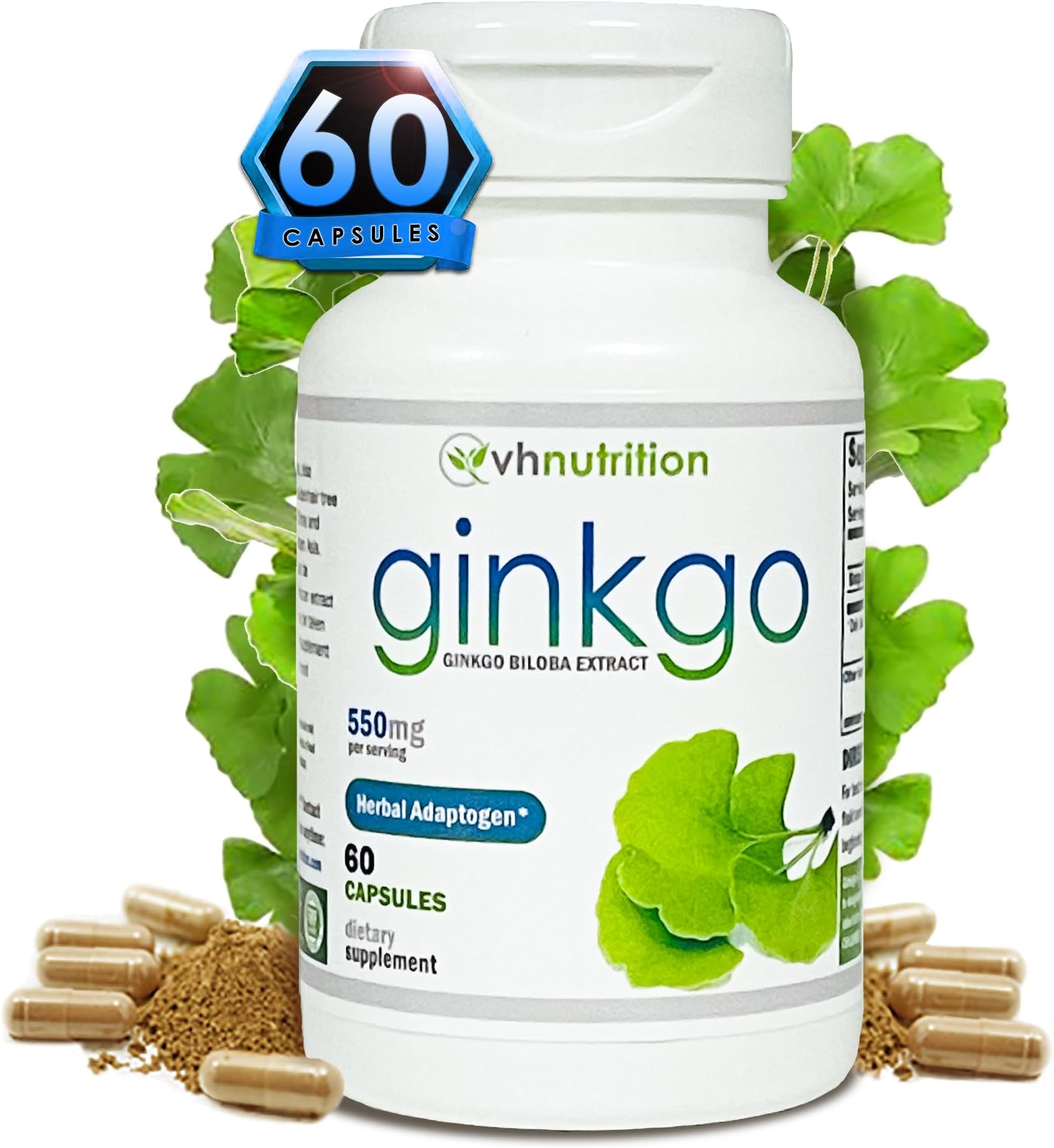 Amazon.com: VH Nutrition Ginkgo BILOBA | 550mg Standardized Extract ...