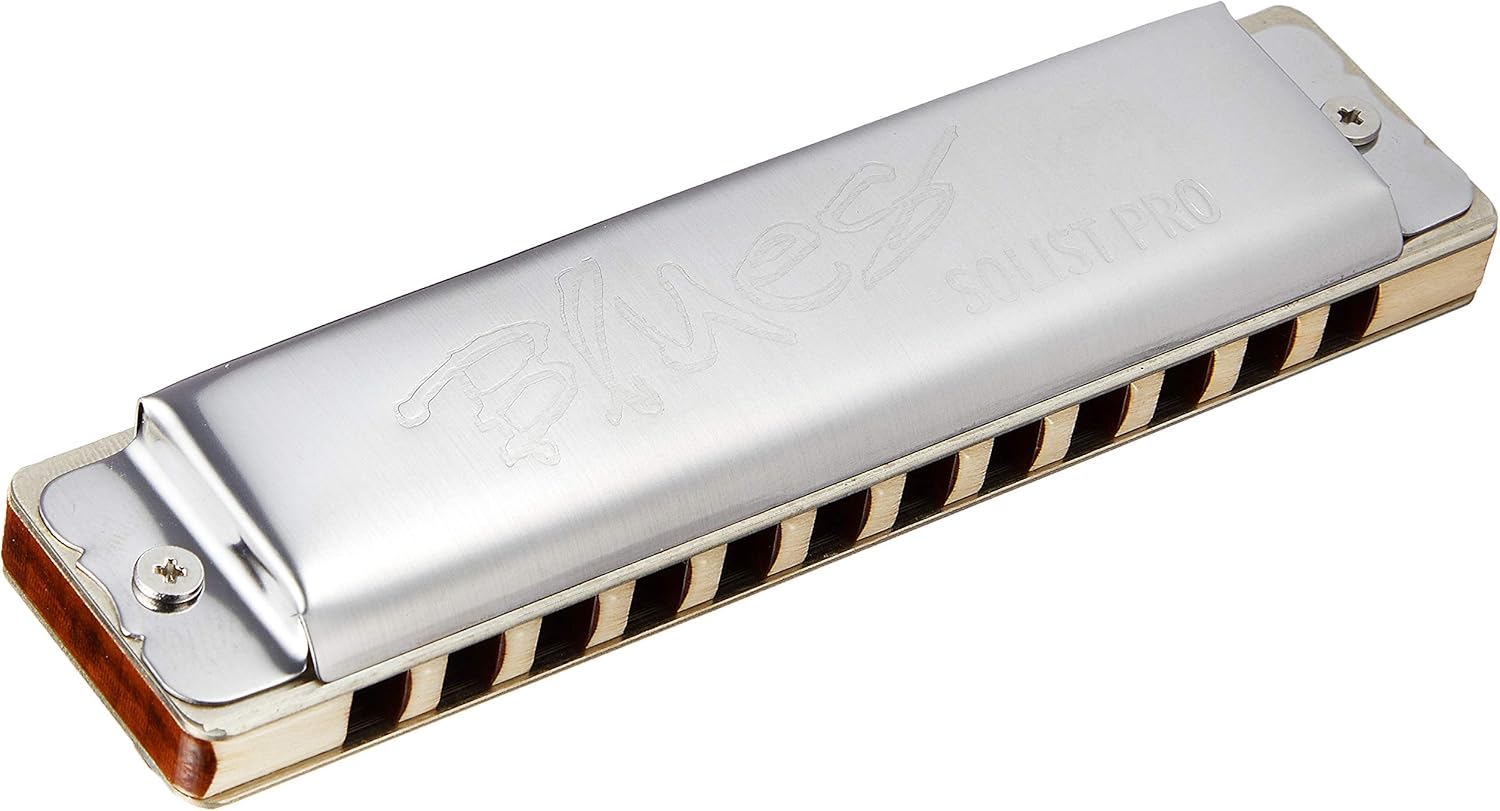 Amazon.com: SEYDEL Blues SOLIST PRO 12 STEEL Harmonica Low D : Musical ...