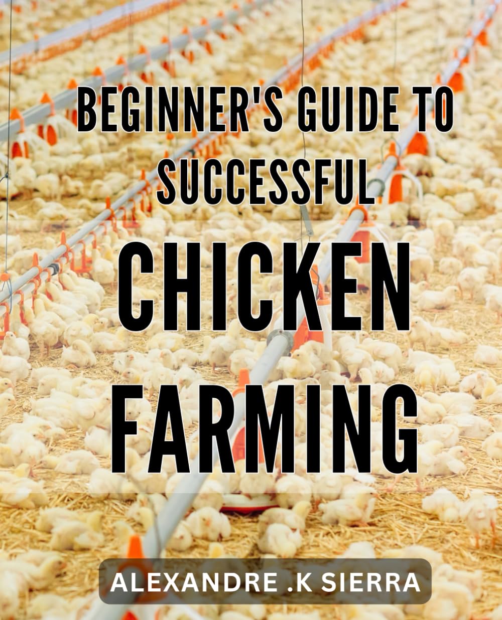 Beginner's Guide to Successful Chicken Farming: Discover expert tips ...