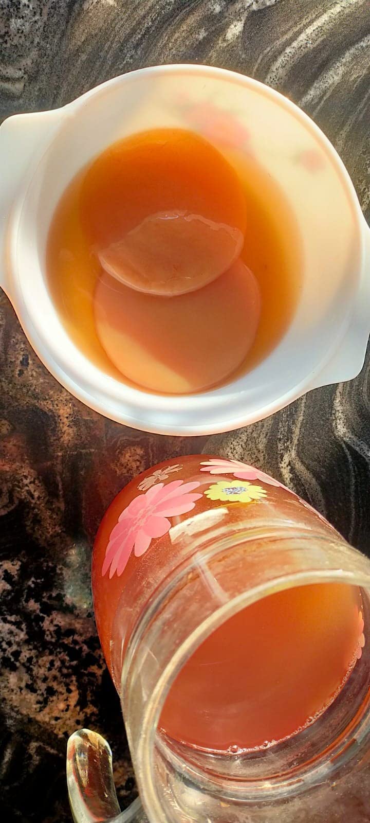 Live Kombucha Scoby | Organic | Natural probiotics | Unlimited Use ...