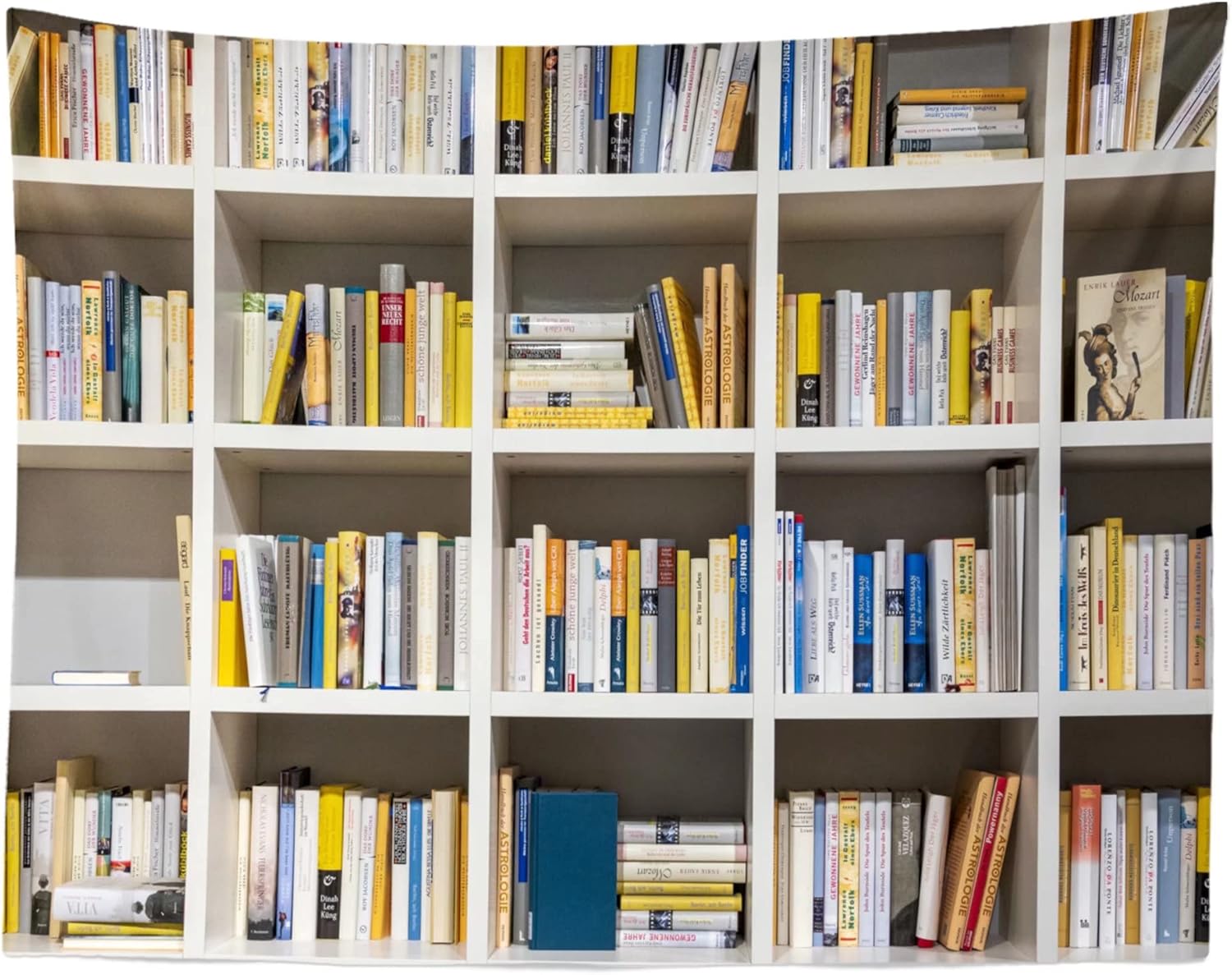 Amazon.com : Loccor 9x6ft Fabric Modern Library Bookshelf Backdrop ...