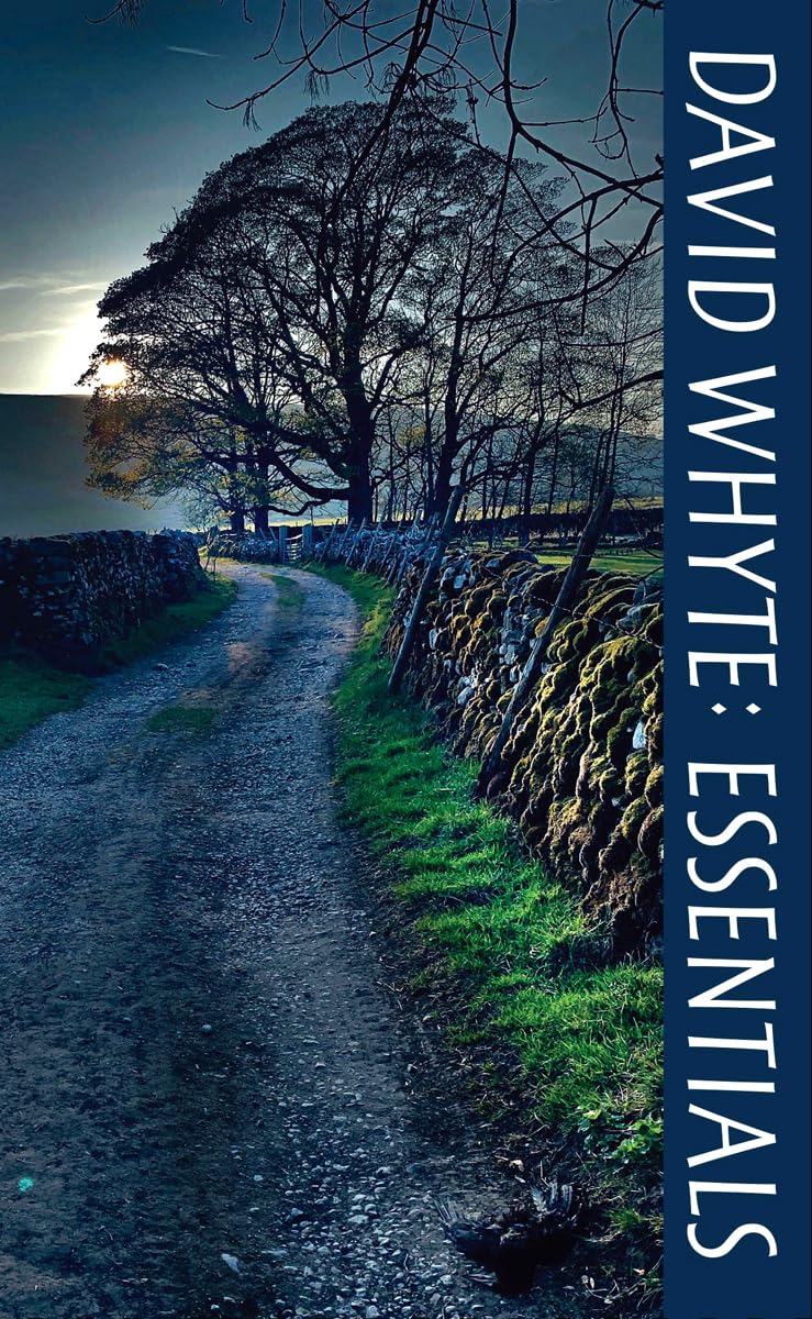 David Whyte Essentials: Whyte, David: 9781932887501: Amazon.com: Books