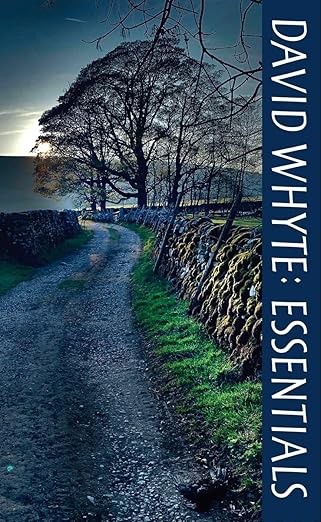 David Whyte Essentials: Whyte, David: 9781932887501: Amazon.com: Books