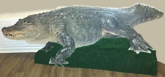 Amazon.com: Cardboard People American Alligator Life Size Cardboard ...