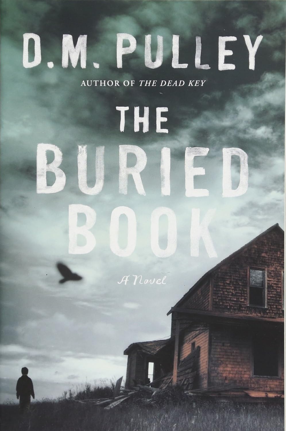 The Buried Book: Pulley, D. M.: 9781503936720: Amazon.com: Books
