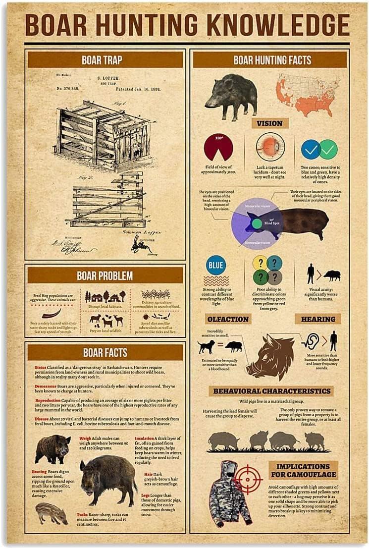 Amazon.com: Boar Hunting Knowledge Metal Sign Vintage Hunter ...