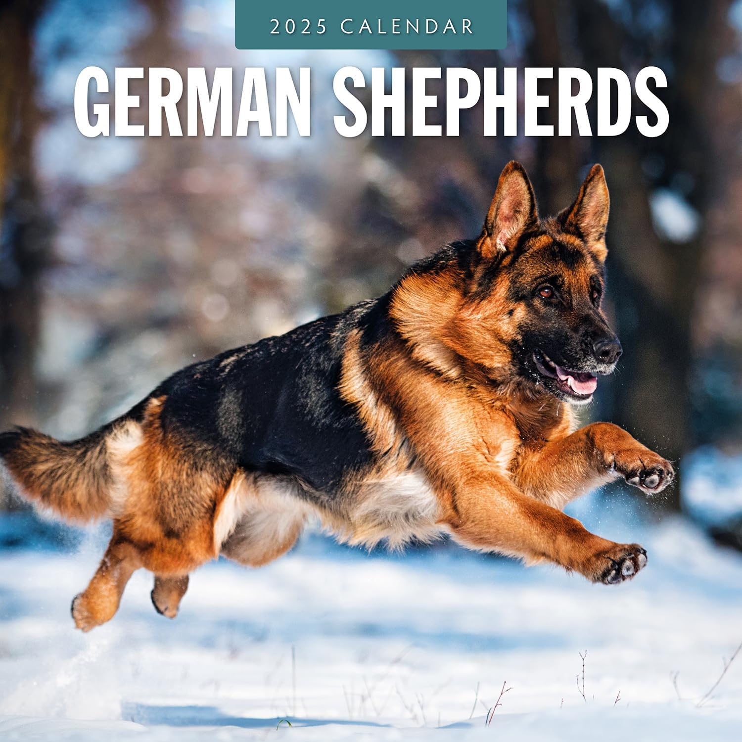 Amazon.com: Red Robin 2025 German Shepherds Monthly Wall Calendar | 12 ...