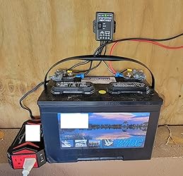 Amazon.com: CZH-LABS LVD Low Voltage Disconnect Module. (12V / 30Amp ...