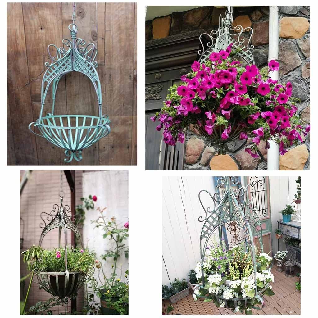 Wrought Iron Plant Baskets