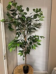 Amazon.com: Laiwot Artificial Ficus Tree, 7ft Tall Fake Tree, Fake Silk ...