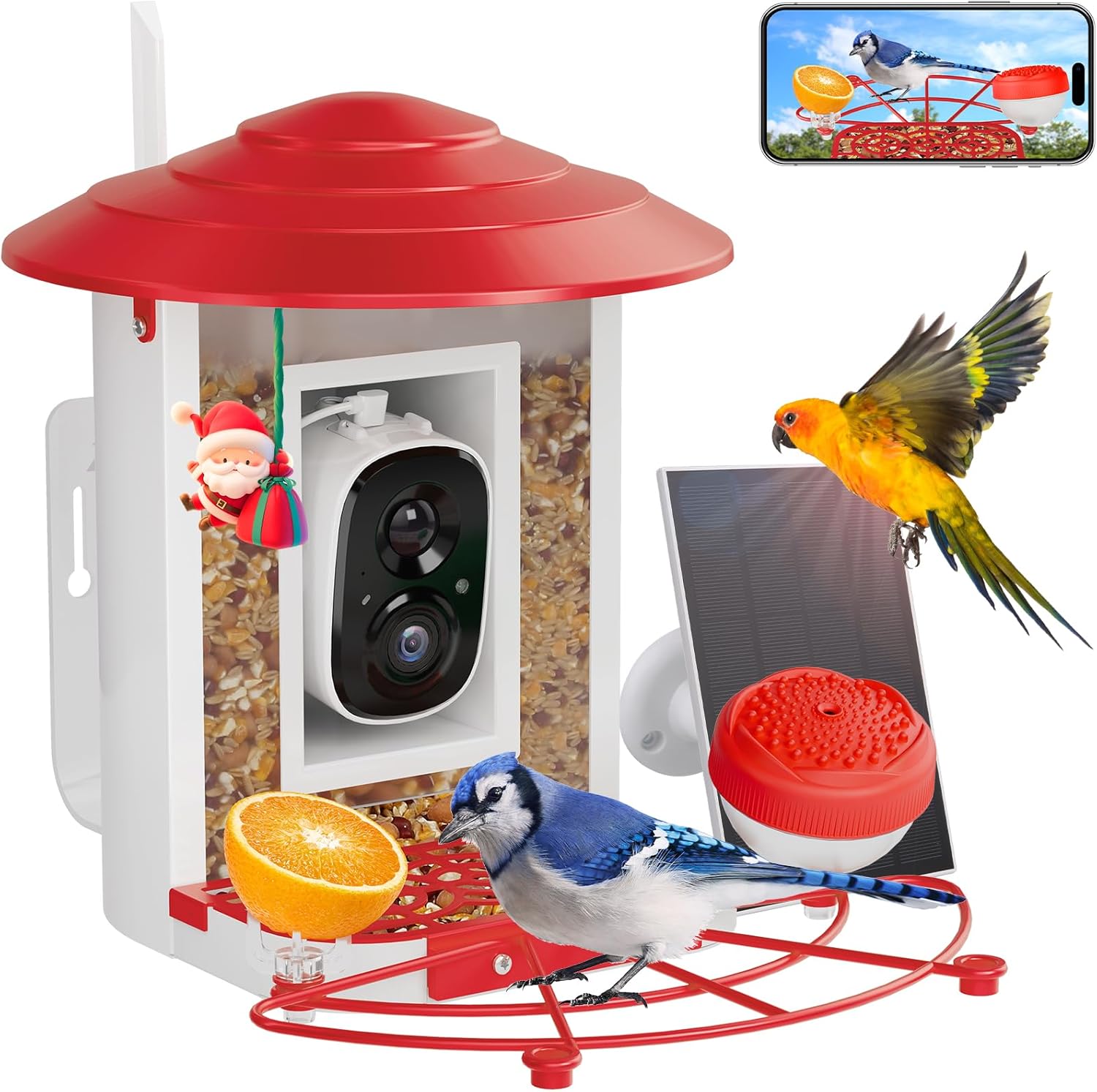 Bird Feeder with Camera Solar Powered, Smart Bird Feeder Camera 2K Feed ...