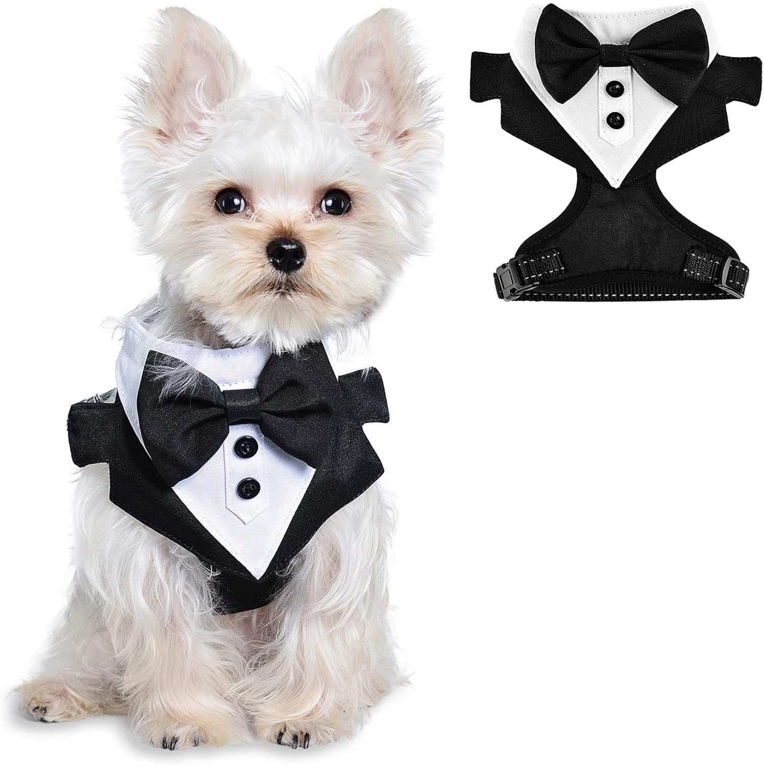 Amazon.com: Dog Tuxedo for Small Dogs Dog Tuxedo Harness Dog Wedding Attire Small Tuxedo Harness ...
