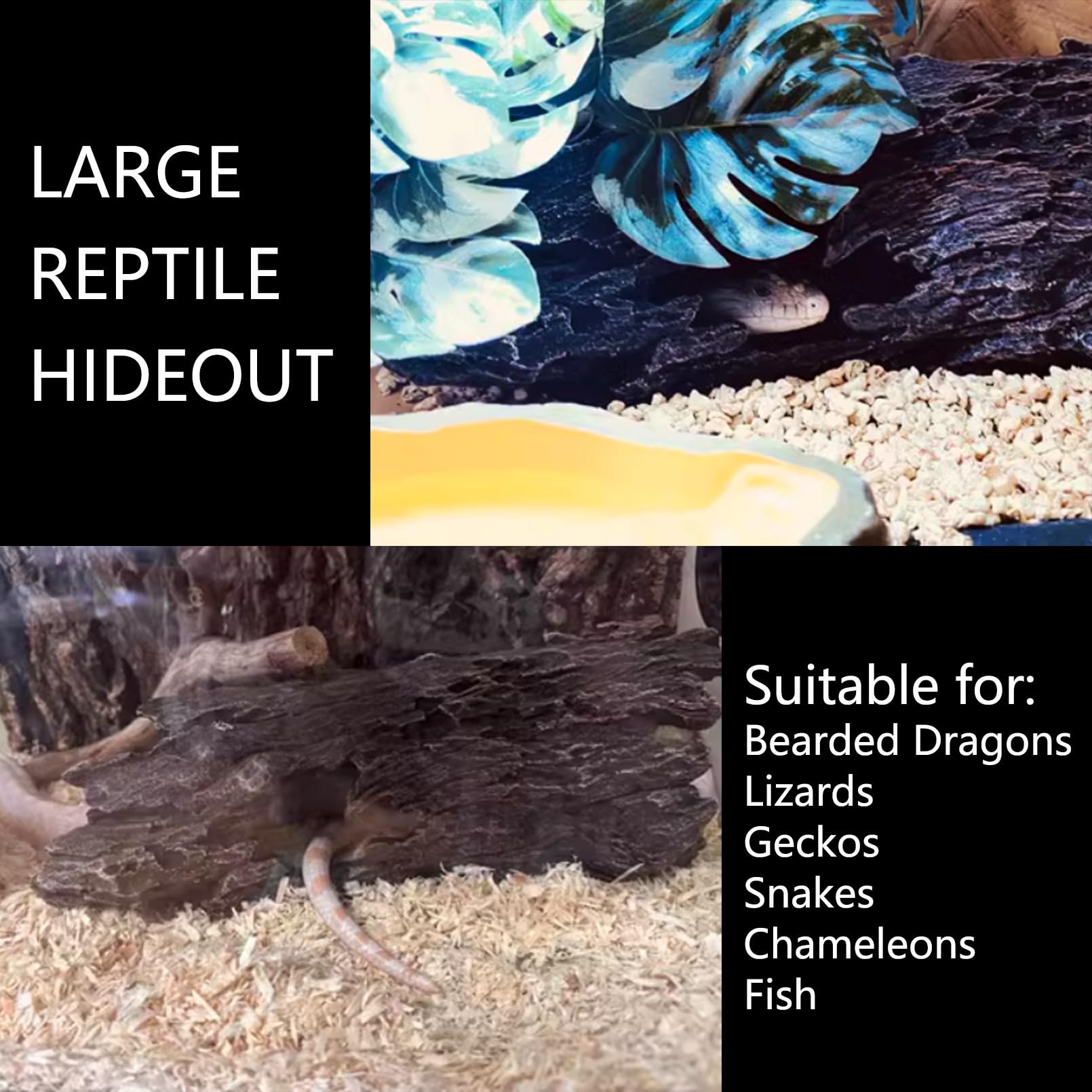 Snapklik.com : Bearded Dragon Hide, 13.5" Large Reptile Hideout, Resin ...