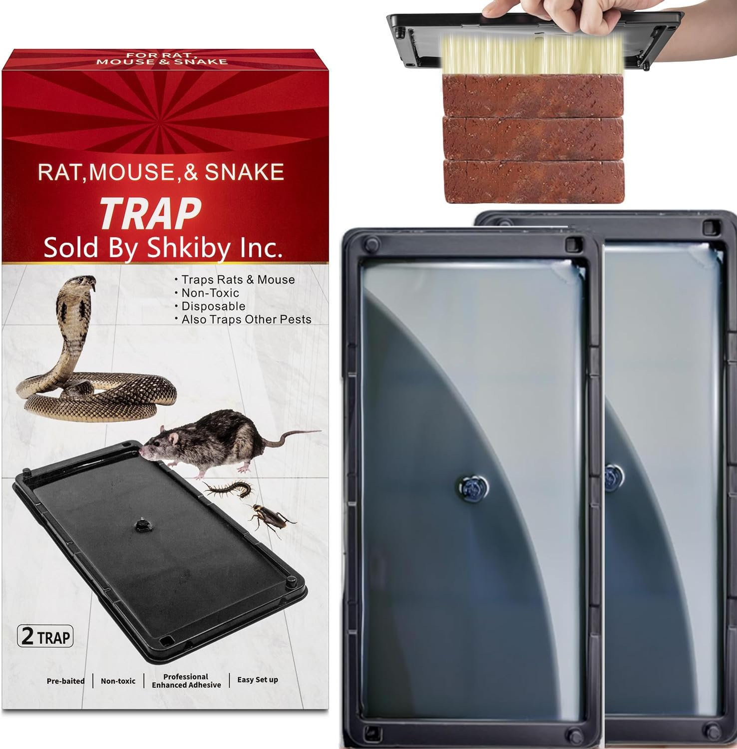 Amazon.com : Rat & Mouse Glue-Traps 2 Pack, Large Bulk Traps, Indoor ...