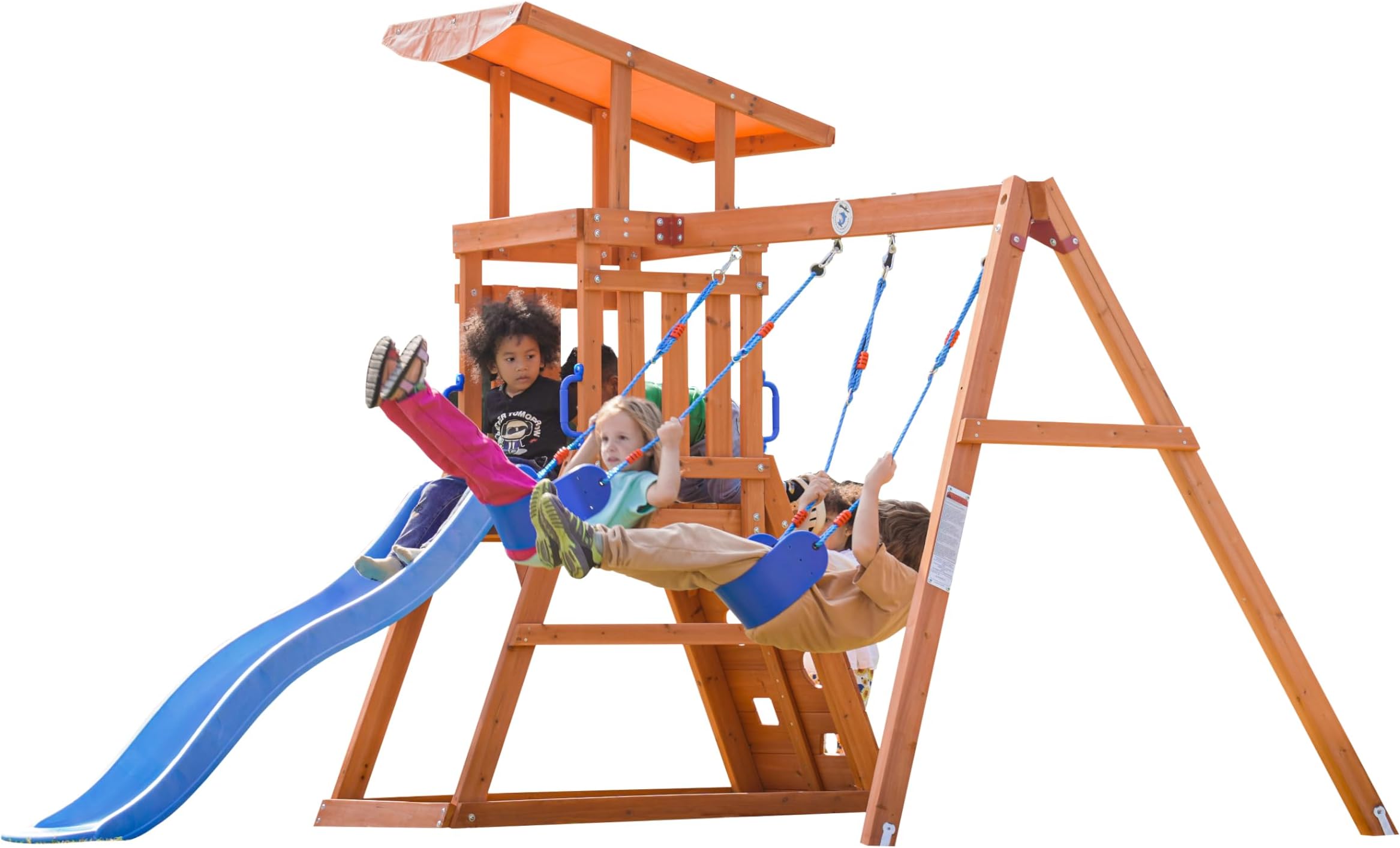 Amazon.com: Dolphin Playground Wooden Swing Sets for Backyard ...