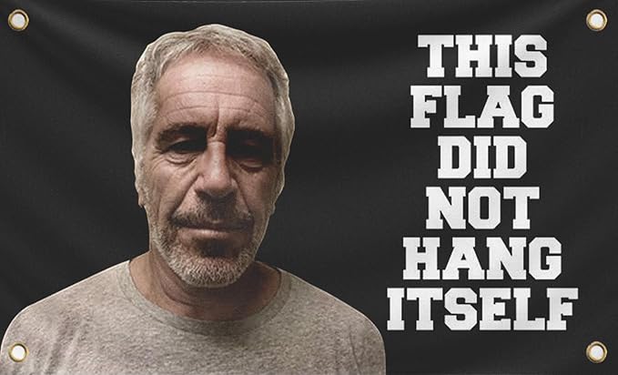 Amazon.com : 3x5 FT Banner with 4 Brass Grommets - This Flag Did Not ...